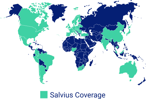 Factsheet – Salvius